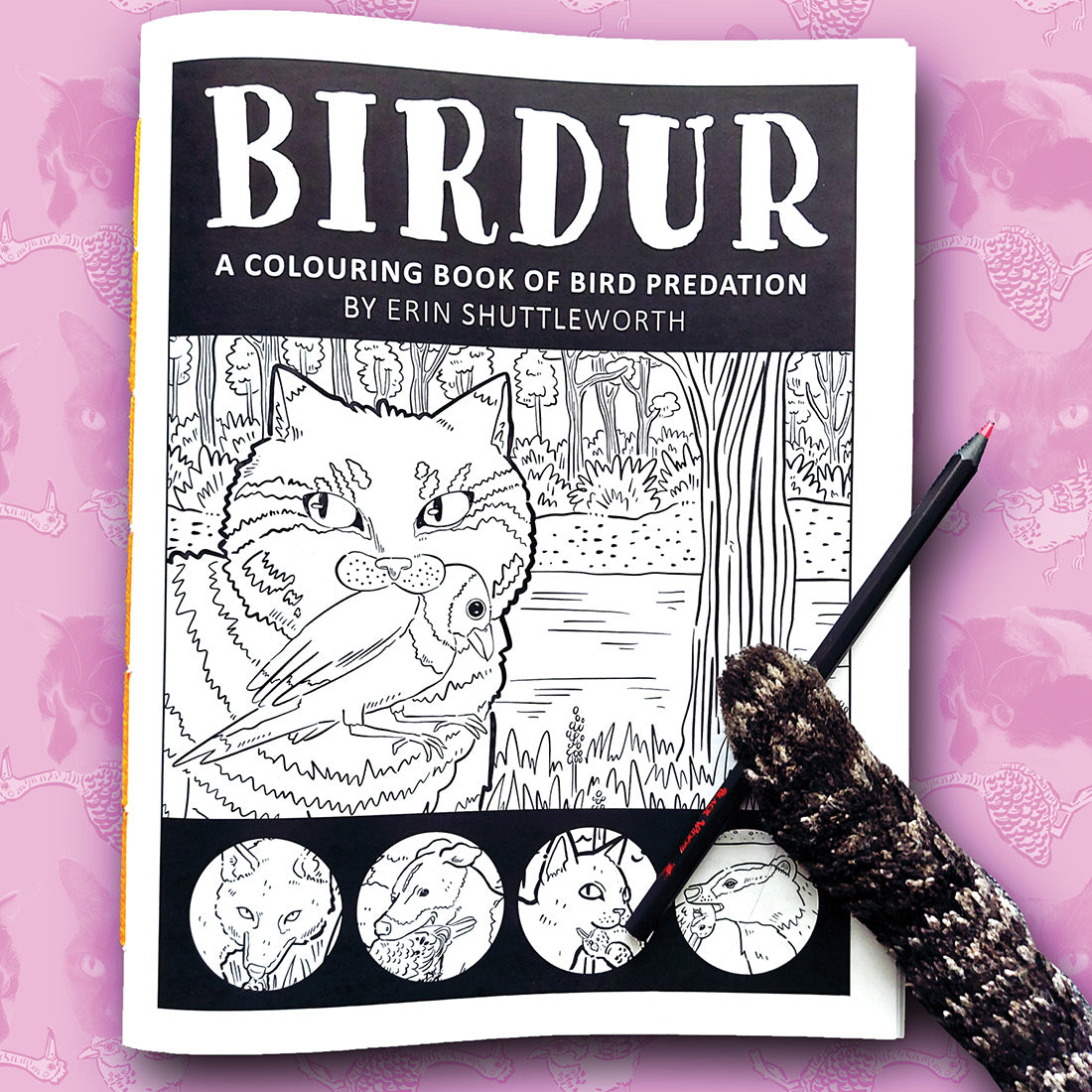 Birdur: Birding With A Touch of Murder | A Colouring Book of Bird Pred ...
